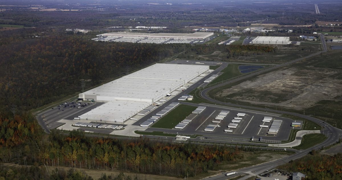 Broccolini | Target Distribution Centre